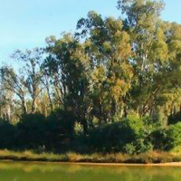 Murray River Council - About Us